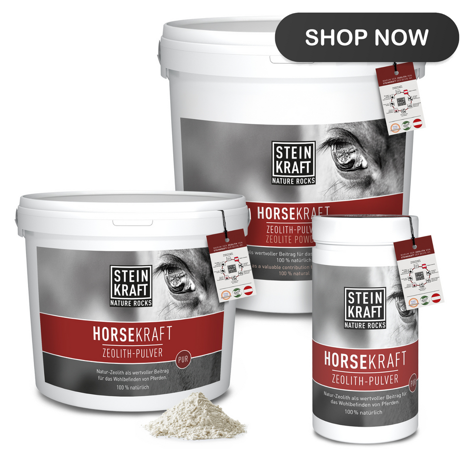 Prof. Dr. Karl Hecht mt seiner Zeolith-Forschung hat uns immer schon ...