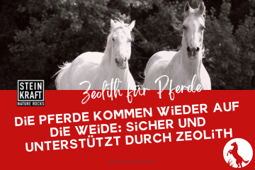 Quetschhafer für Pferde: Vorteile, Risiken & Lagerungstipps ...